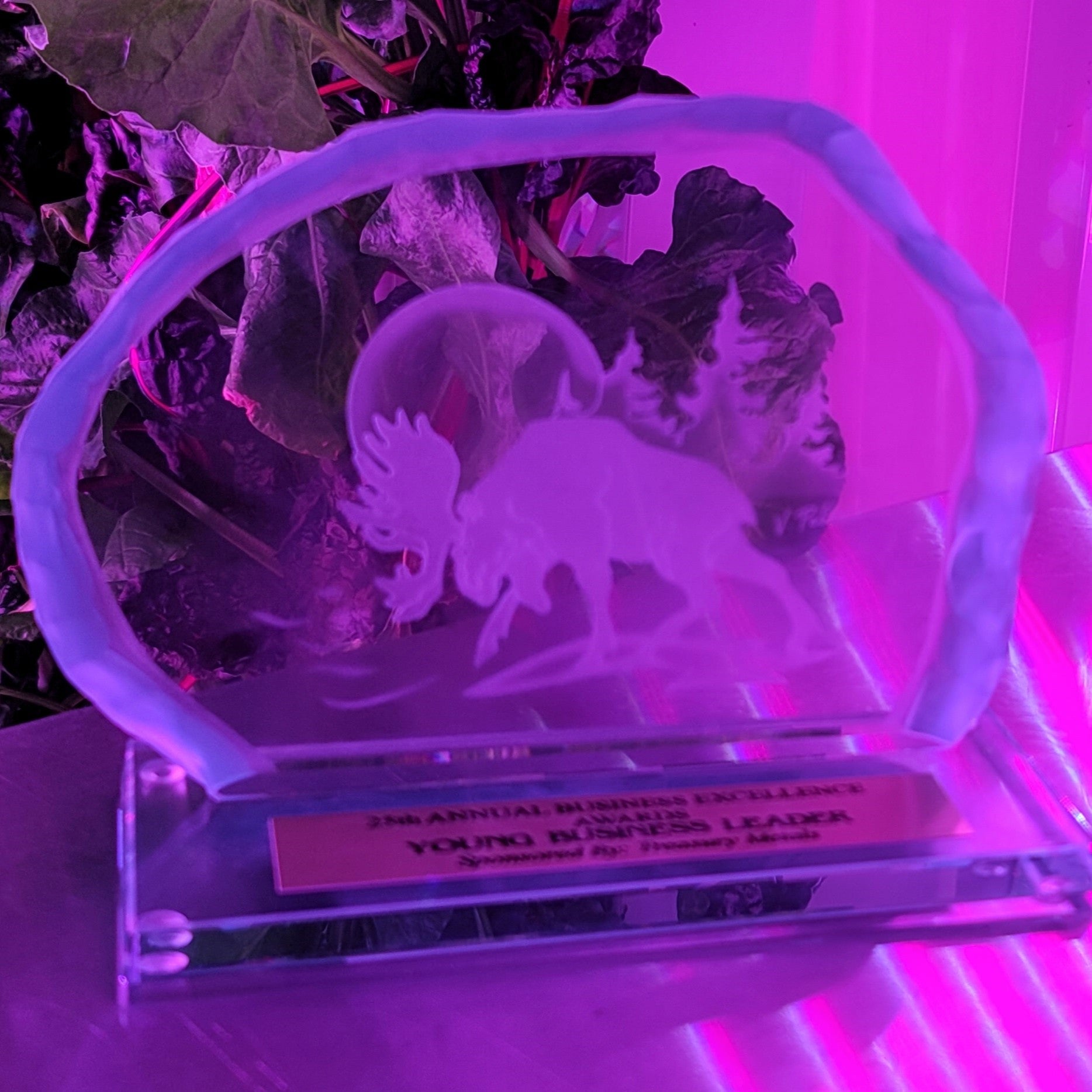 About – AgriTech North