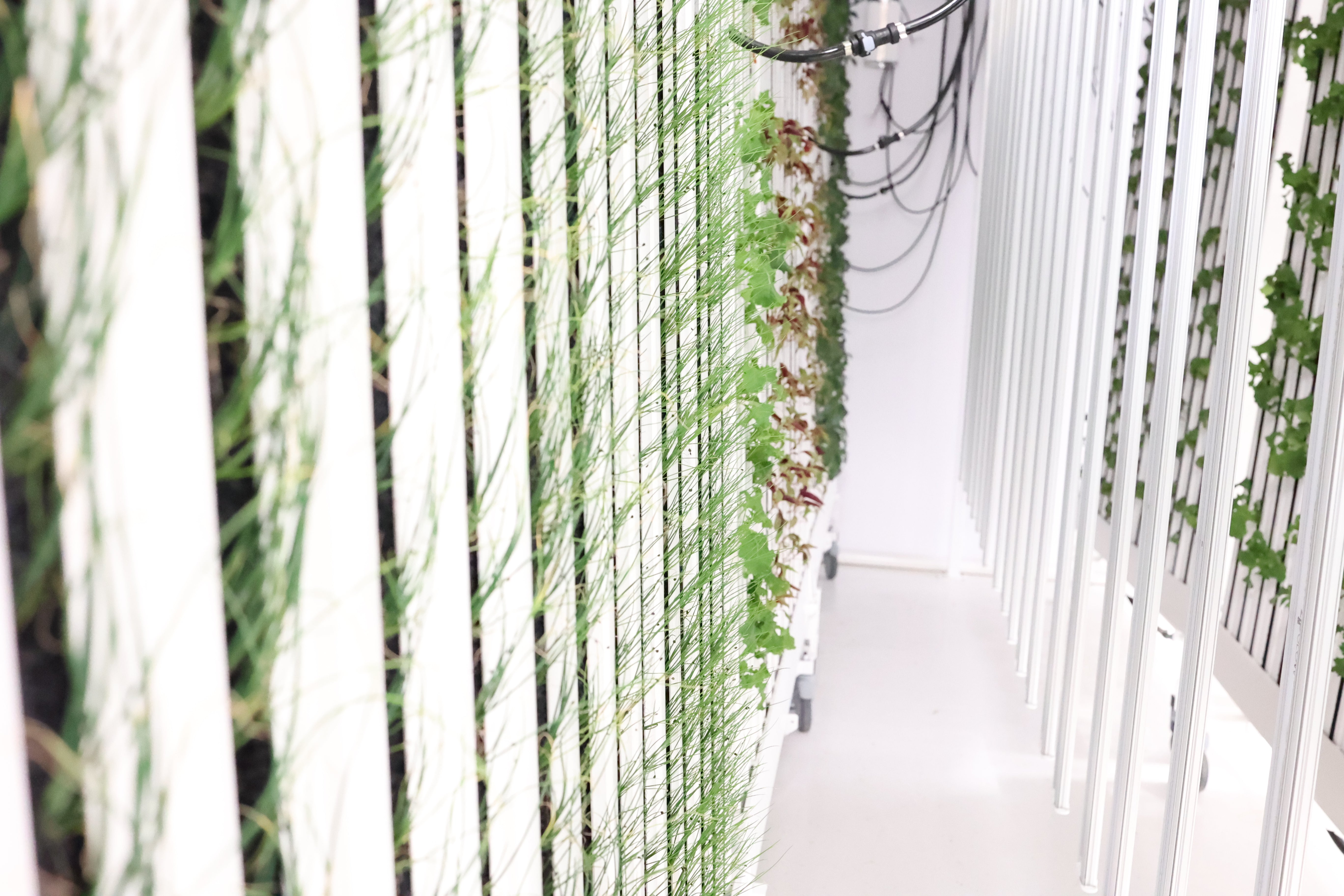 AgriTech North | NW Ontario | Local Grocery & Year-Round Farming