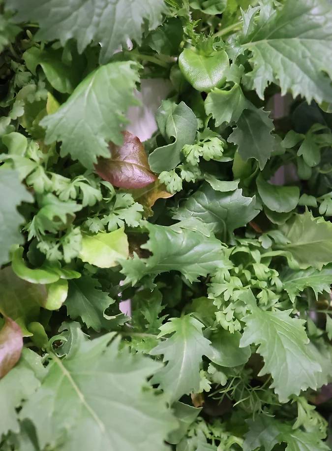 AgriTech North Local Grocery Pick-up, Delivery, and Shipping